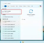 How to download SEB Lite for CSEET in 2024